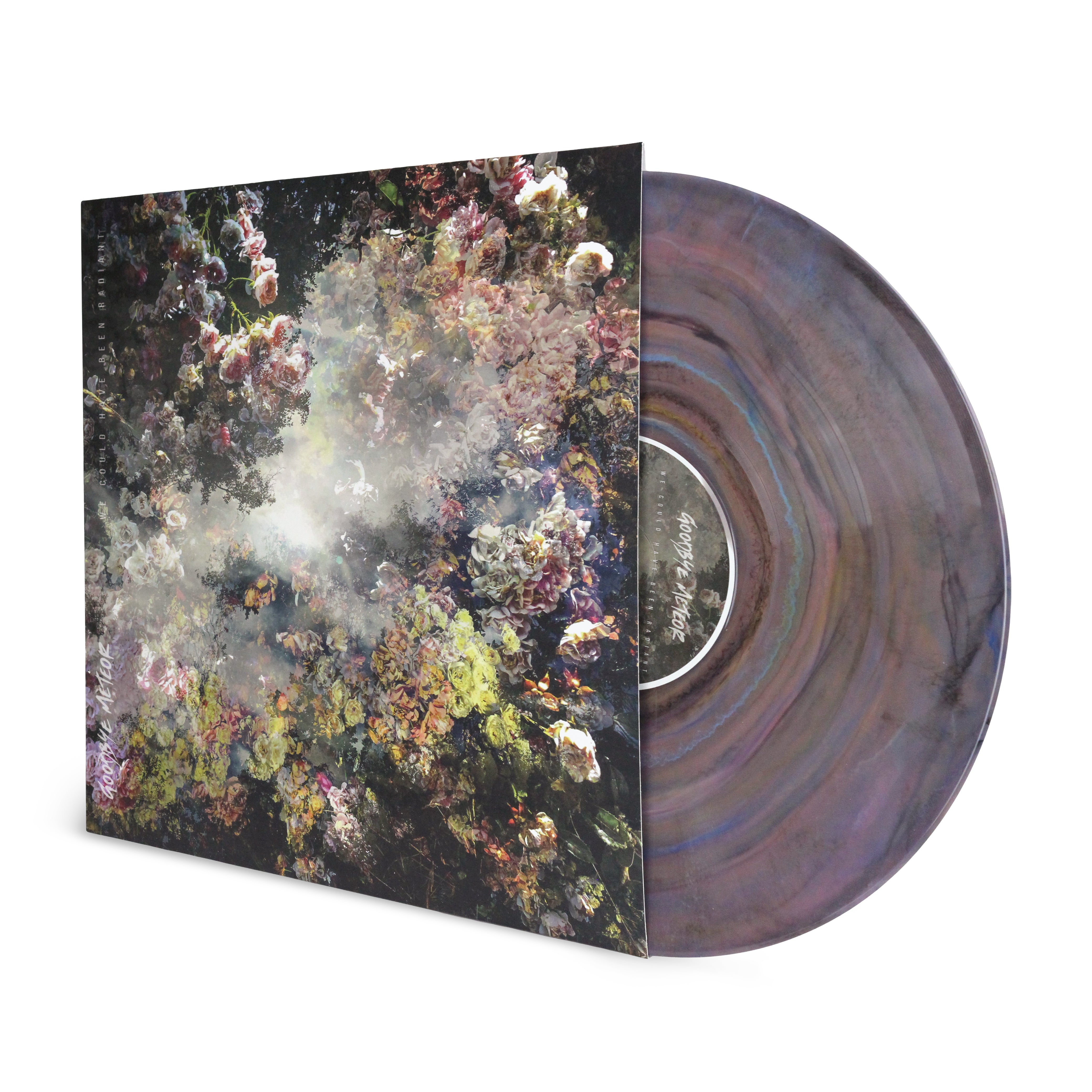 Goodbye Meteor • We Could Have Been Radiant [LP] – dunk!records